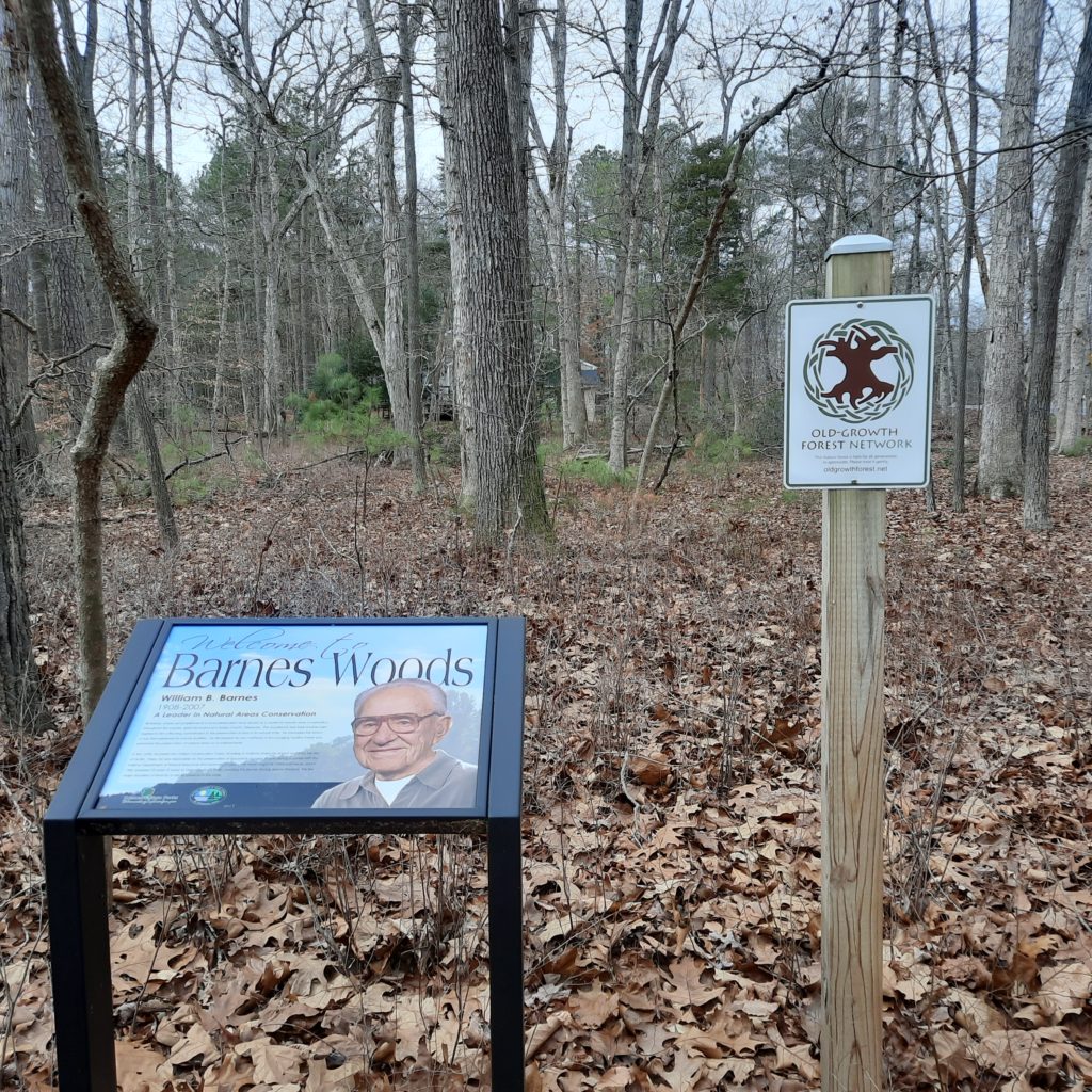 Barnes Woods Nature Preserve - Paddle the Nanticoke | Paddle the Nanticoke